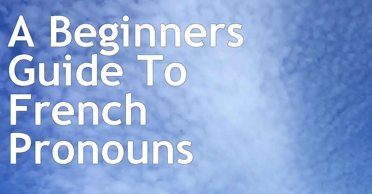 A Beginners Guide To French Pronouns - Reaching Fluency